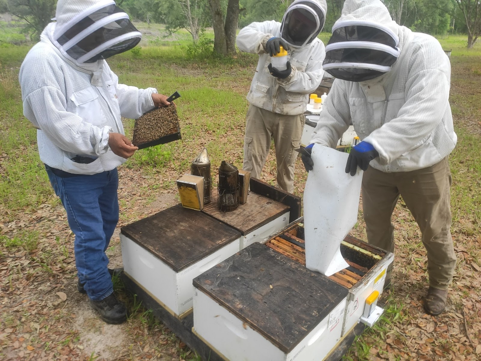 Gas-Based Varroa Control with HiveMaster: Florida Field Trial Results ...