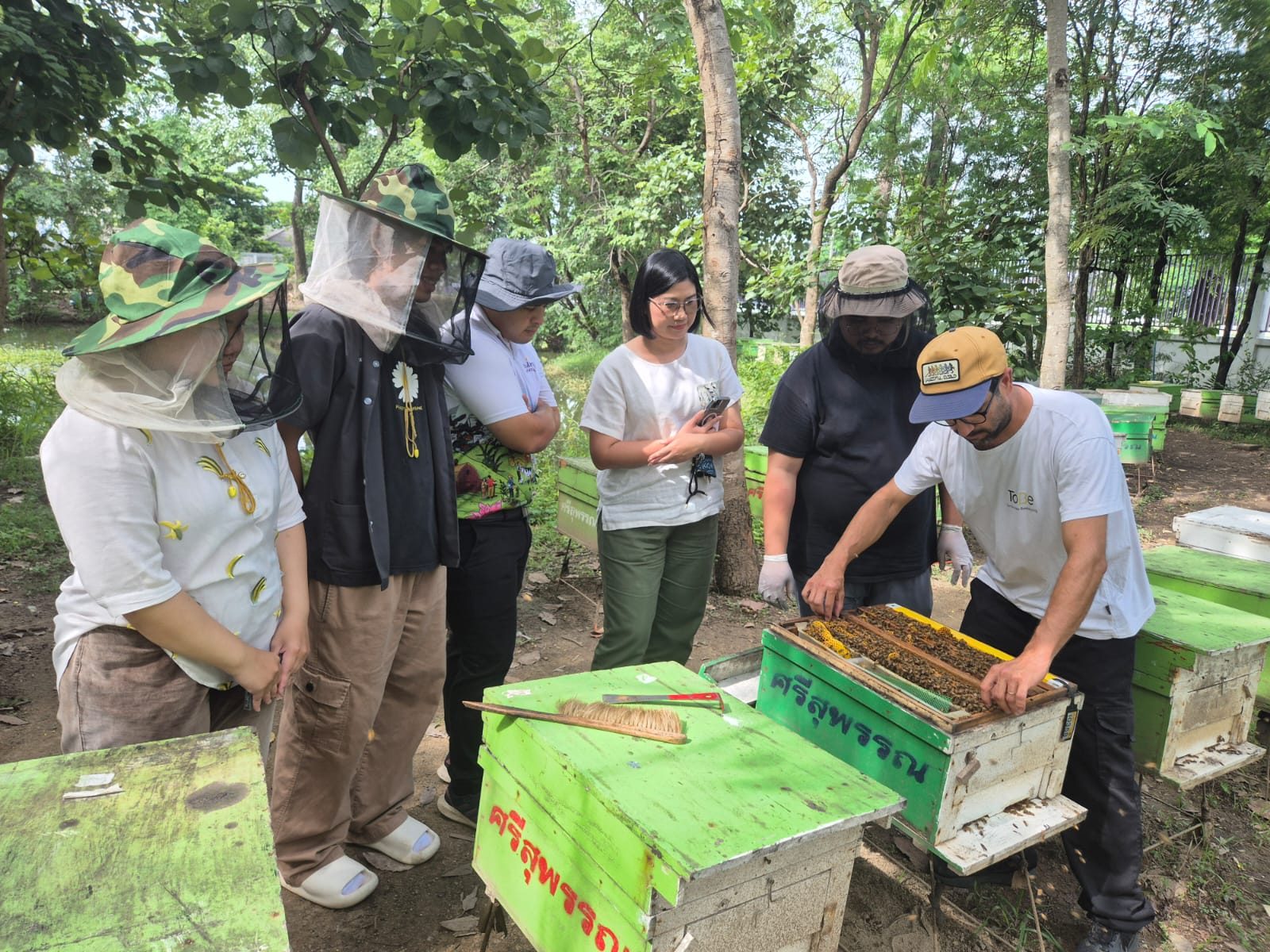 Gas-Based Tropilaelaps Control with HiveMaster: Thailand Field Trial ...
